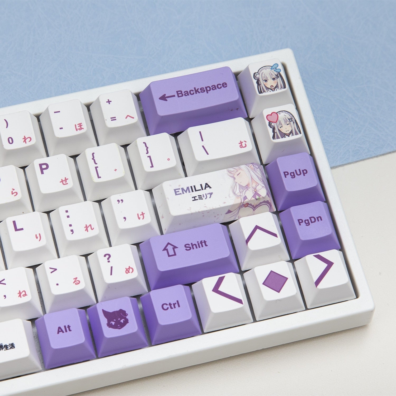 RE Emilia PBT Cherry Profile Keycaps – EL3BS7
